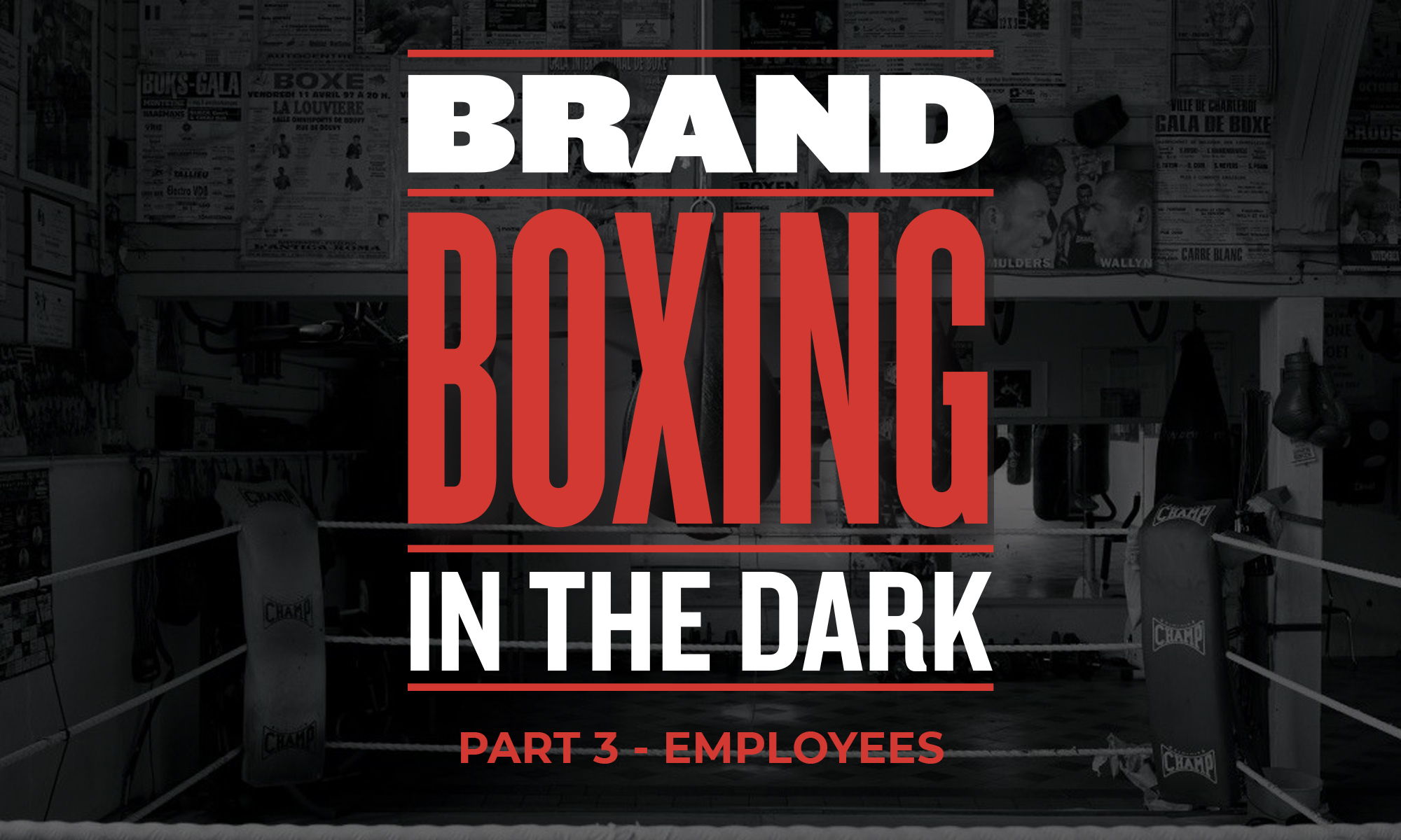 Part 3 - Staff Engagement – Boxing in the Dark - Re:brand